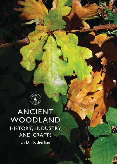 Ancient woodland – Narberth Museum